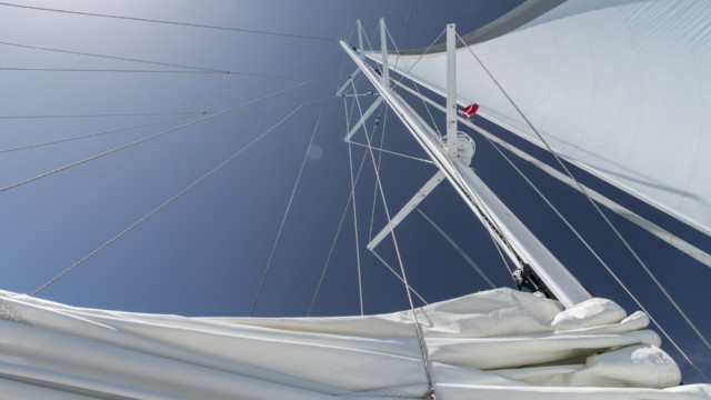 GALLERY – Blue Gryphon